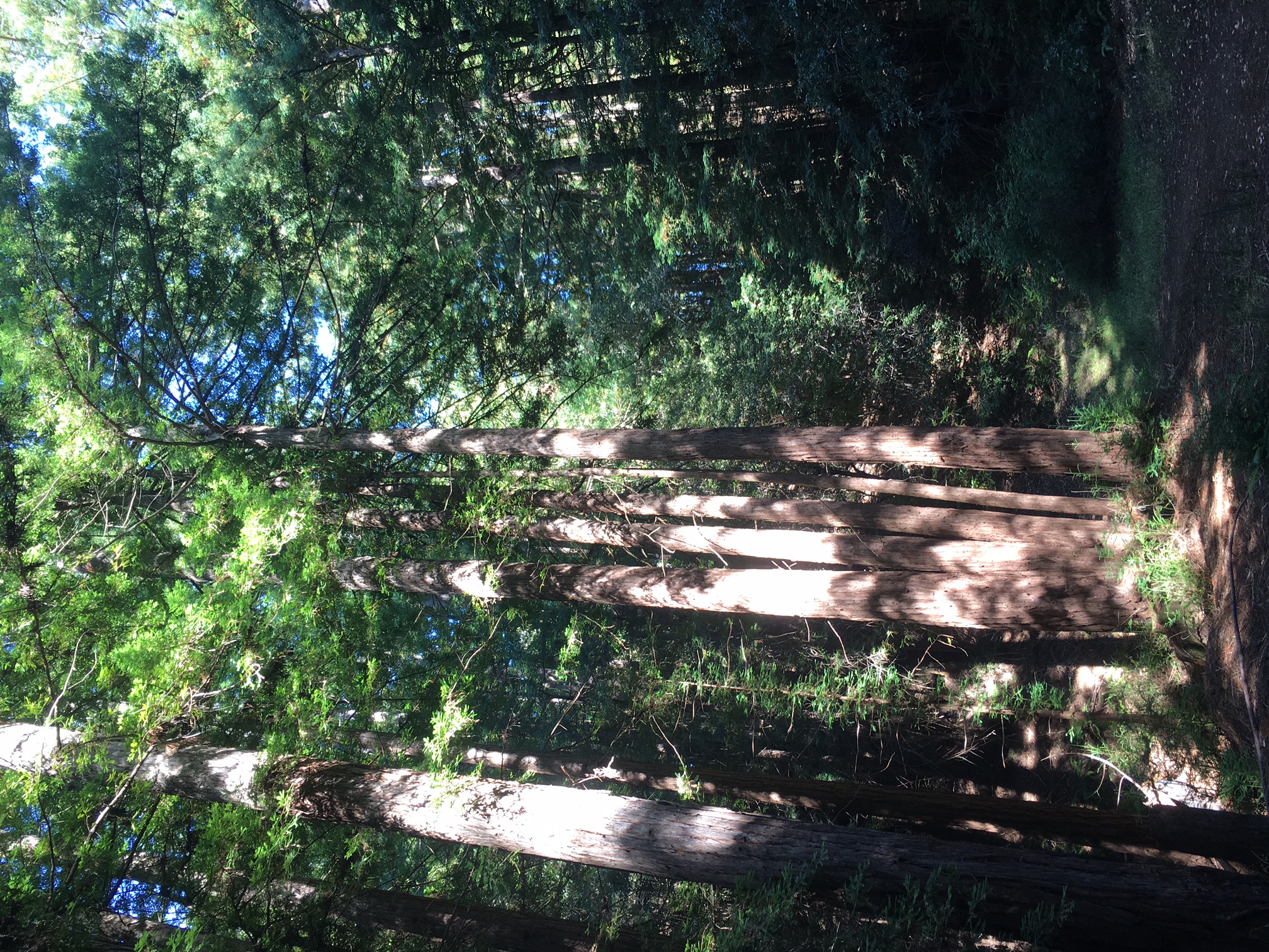 Insider Weekends: Jay Hoag Purchases Shares of Zillow Again ...