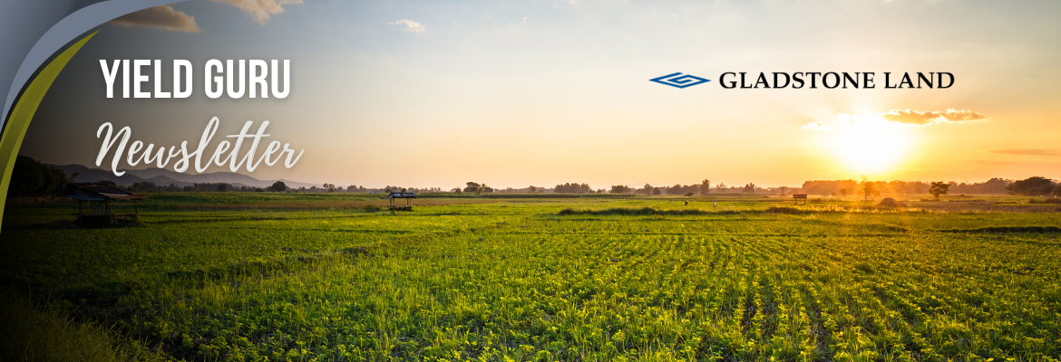 Yield Guru Newsletter - InsideArbitrage